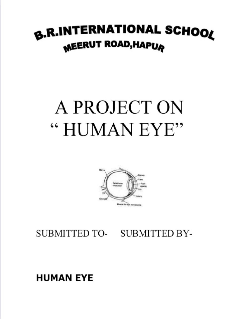 Human Eye and Colourfull World | PDF | Human Eye | Myopia