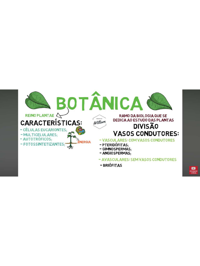Botânica | PDF