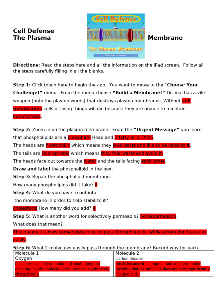 Cell Defense Worksheet-1 | PDF | Cell Membrane | Lipid Bilayer