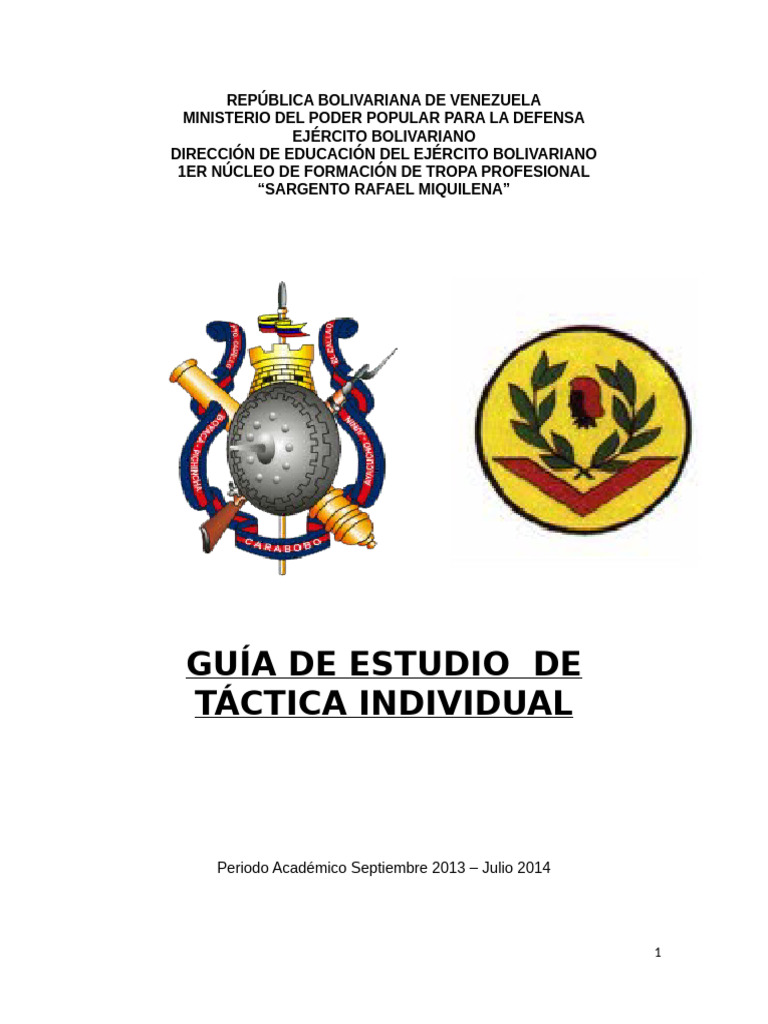 Guia de Tactica Individual | PDF | Percepción visual | Camuflaje