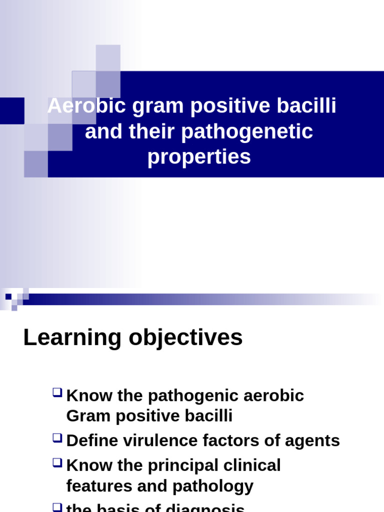 Gram Positive Aerobic Bacilli | PDF | Anthrax | Bacillus