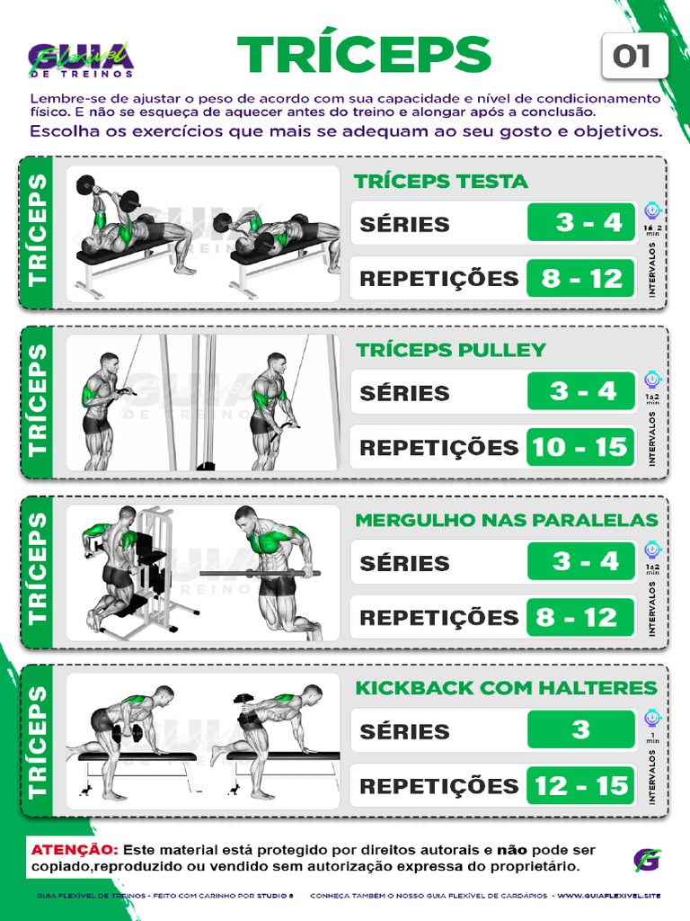 Tríceps - PDF | PDF
