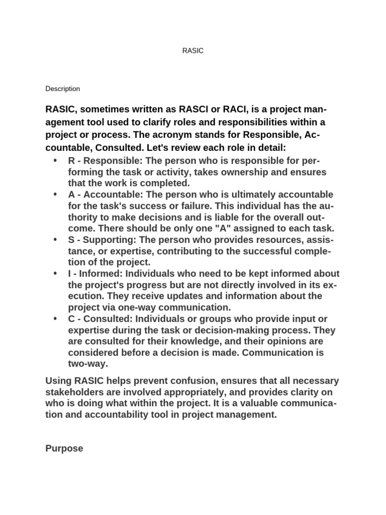 RASIC rules | PDF | Risk | Risk Management