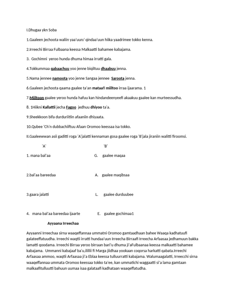 1.gaaleen Jecho | PDF