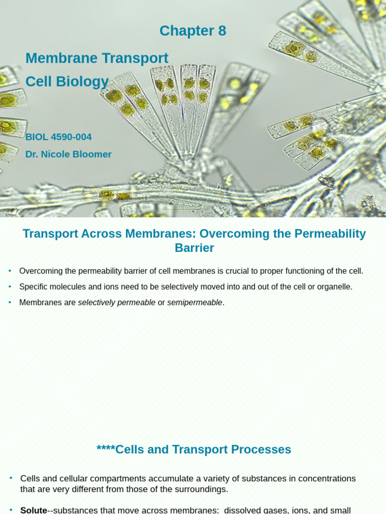 Ch8PPT.MembraneTransport.cellbio.2 copy | PDF | Cell Membrane | Bacteriorhodopsin
