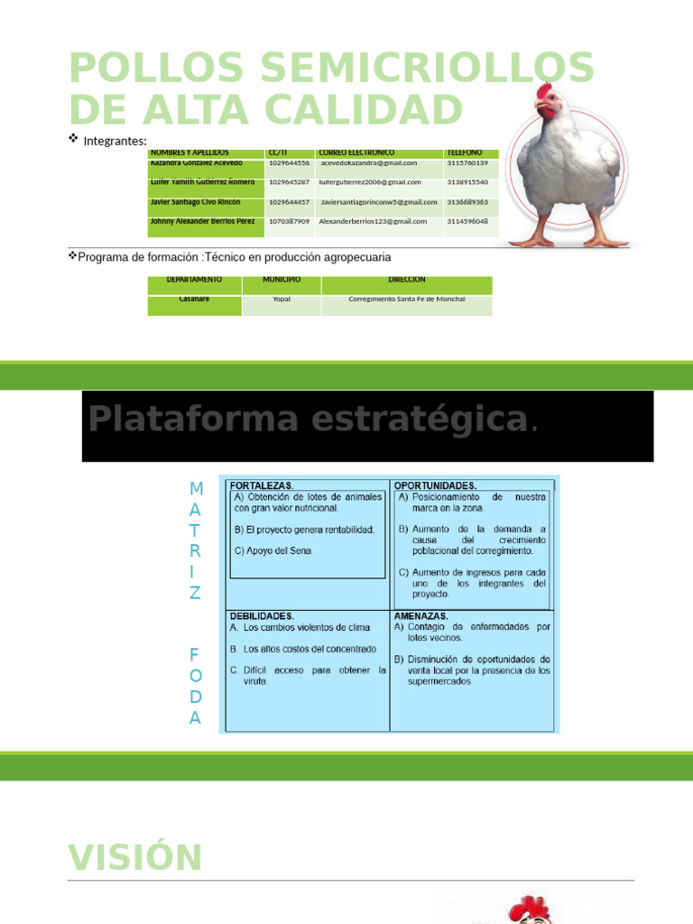 Pollos Semicriollos de Alta Calidad | PDF | Marketing | Supermercado