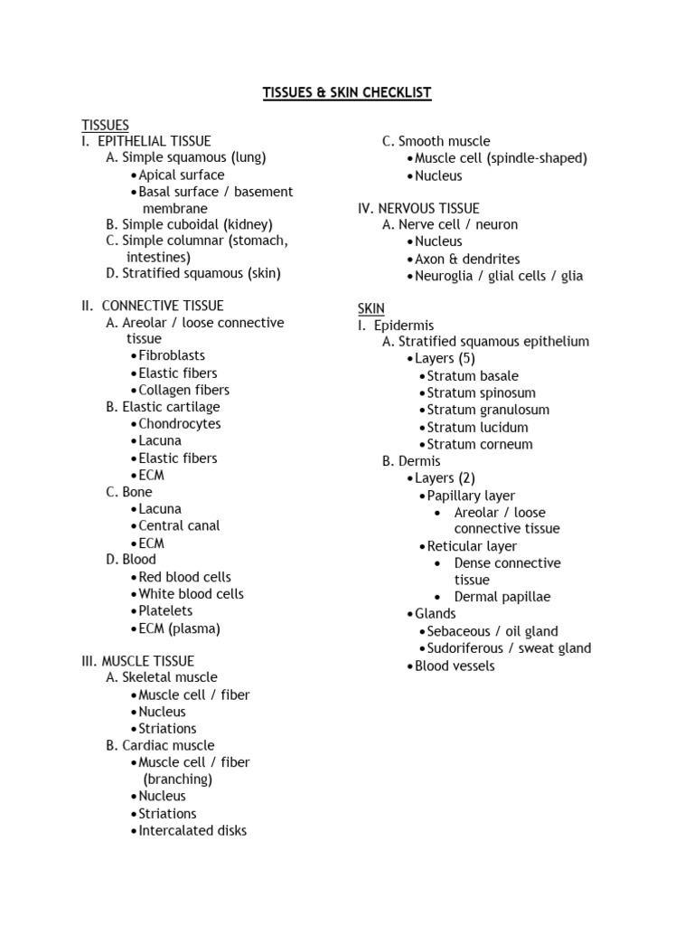 LAB - Tissues Skin Checklist | PDF | Epithelium | Skin