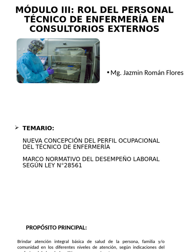 Diplomado Módulo III Sesión 2 MG, Jazmin Román Flores | PDF ...