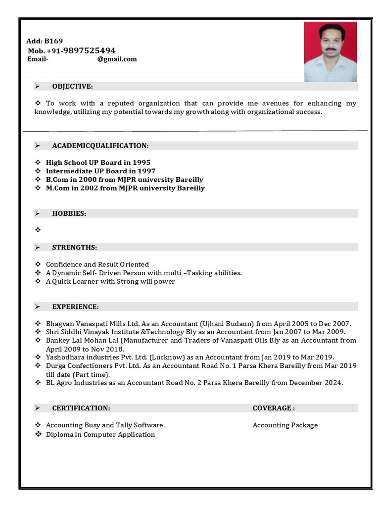 Accountant's Professional Profile | PDF