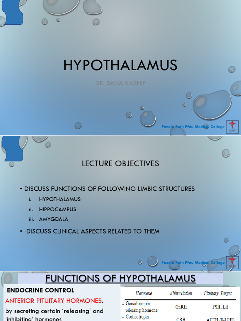Hypothalamus | PDF | Hypothalamus | Amygdala