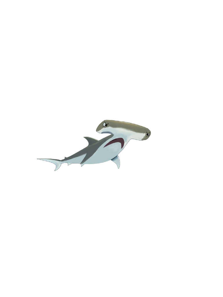 TIBURON | PDF