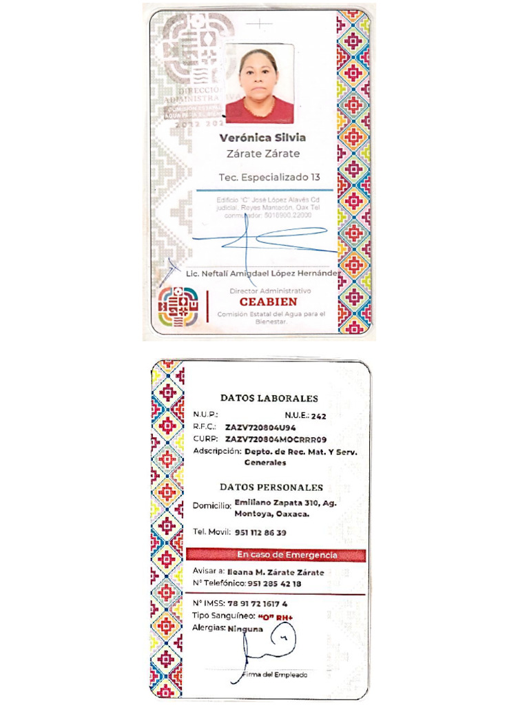 Veronica Silva | PDF