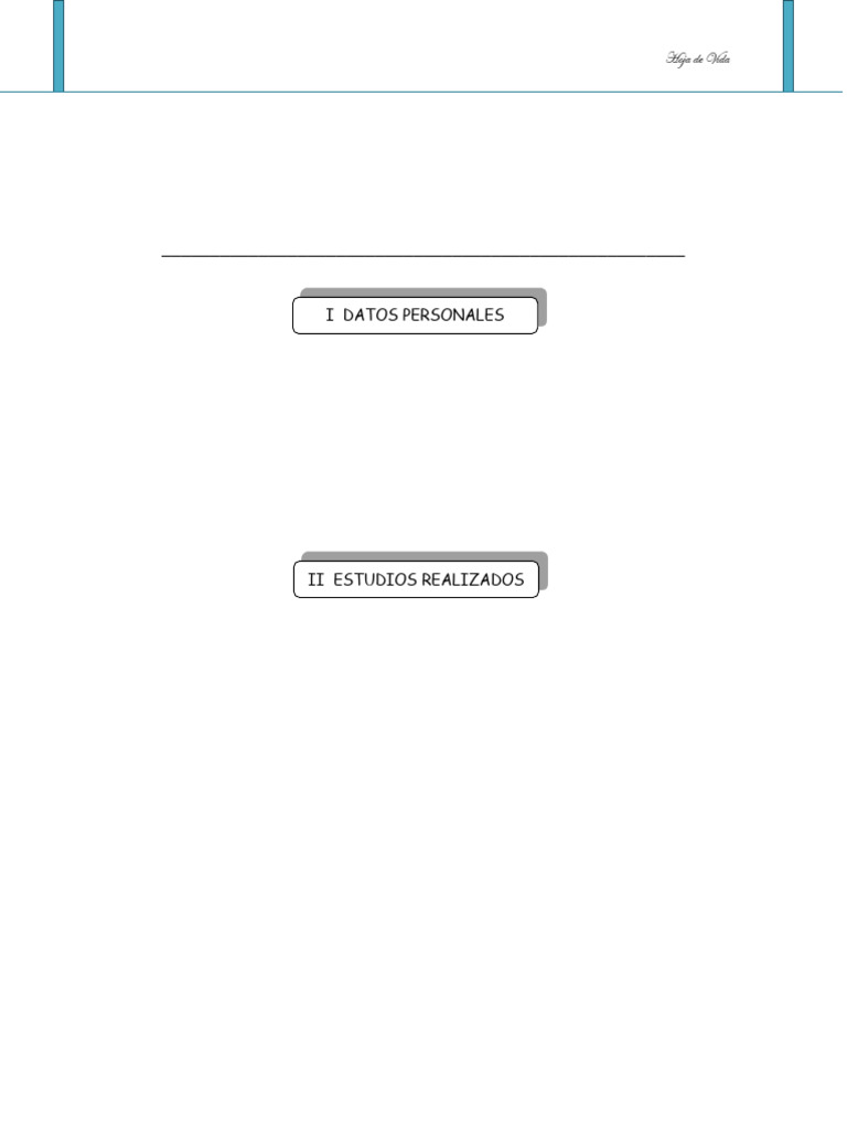 Julieth Hoja de Vida | PDF