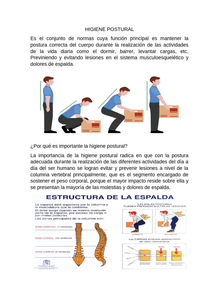 HIGIENE POSTURAL | PDF | Dolor lumbar | Bipedalismo