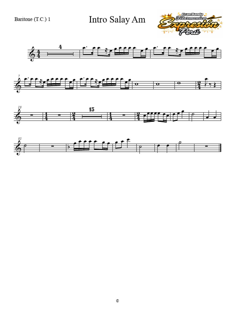 Intro Salay | PDF | Échecs