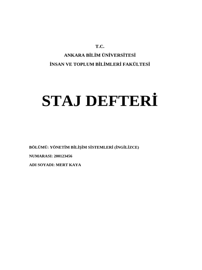 Staj Raporu Ornegi | PDF