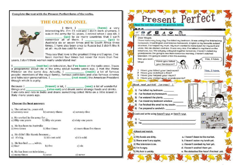 present perfect 3rd bgu | PDF