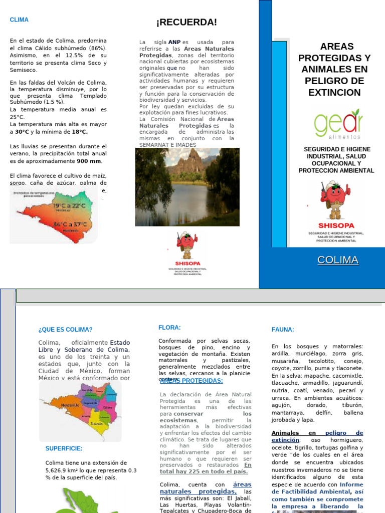 4.2.1a y 4.2.2C Triptico Areas Protegidas y Peligro Extincion 2024 ...