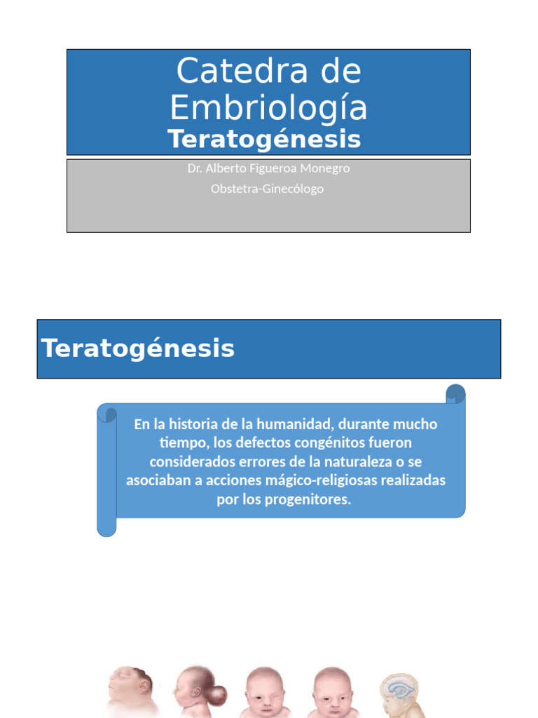 Teratogénesis | PDF