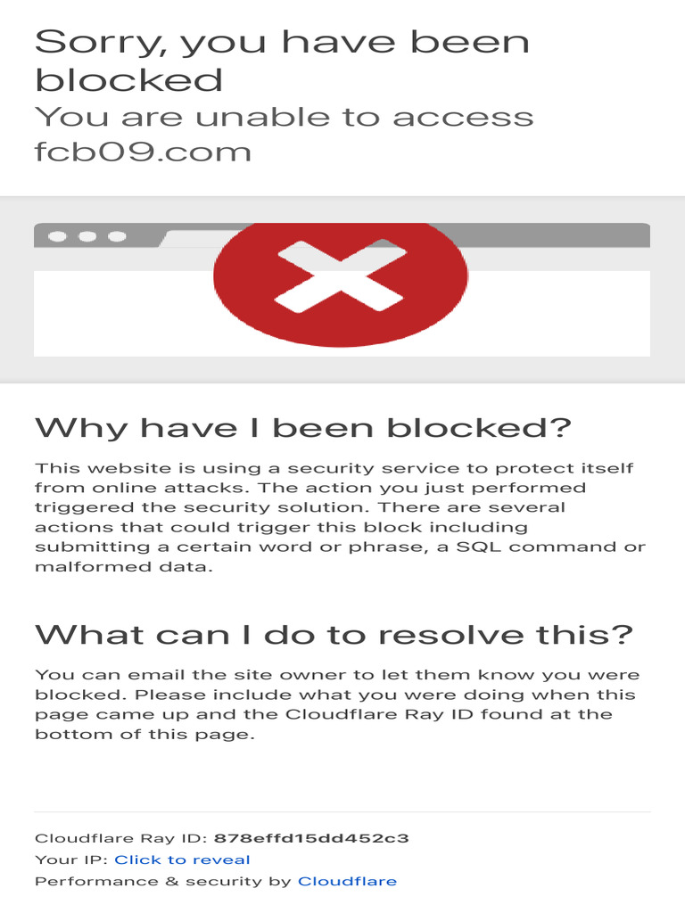 Access Blocked: Security Measures Explained | PDF