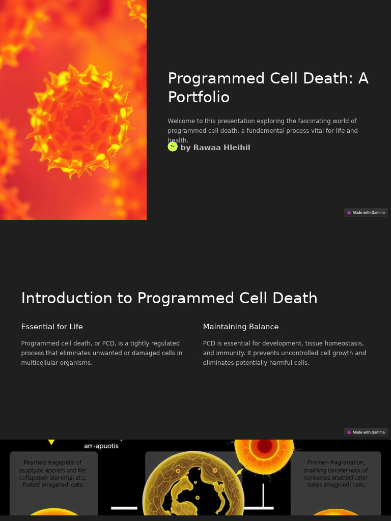 Programmed Cell Death A Portfolio | PDF | Apoptosis | Inflammation