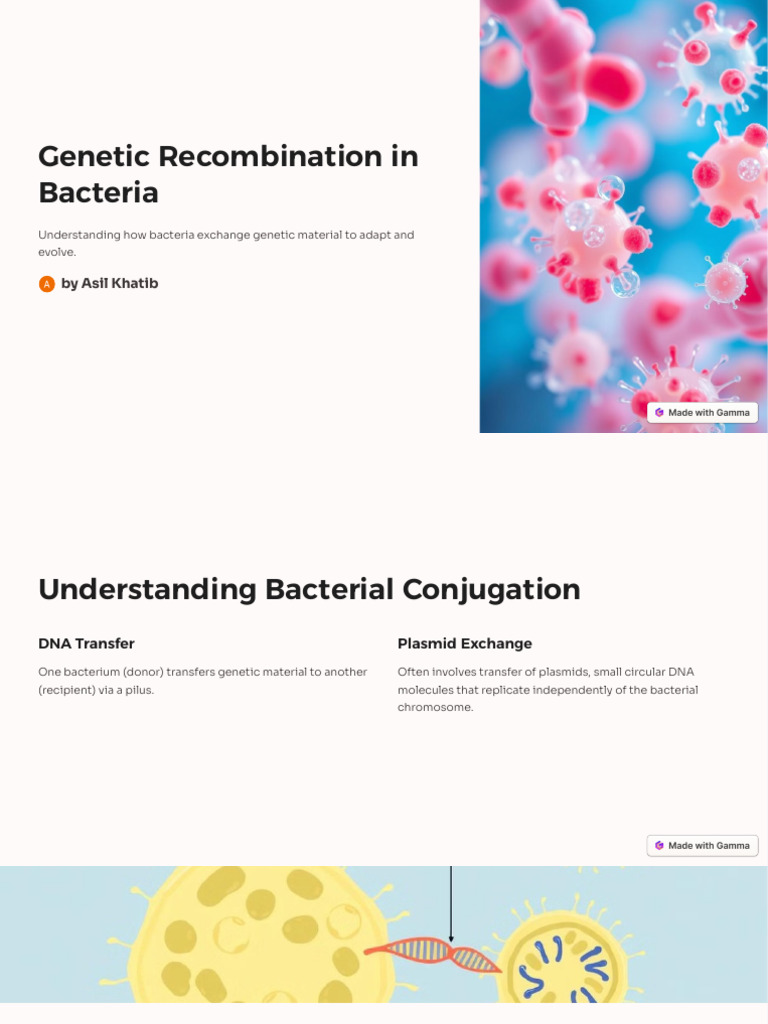 Genetic Recombination in Bacteria | PDF | Plasmid | Bacteria