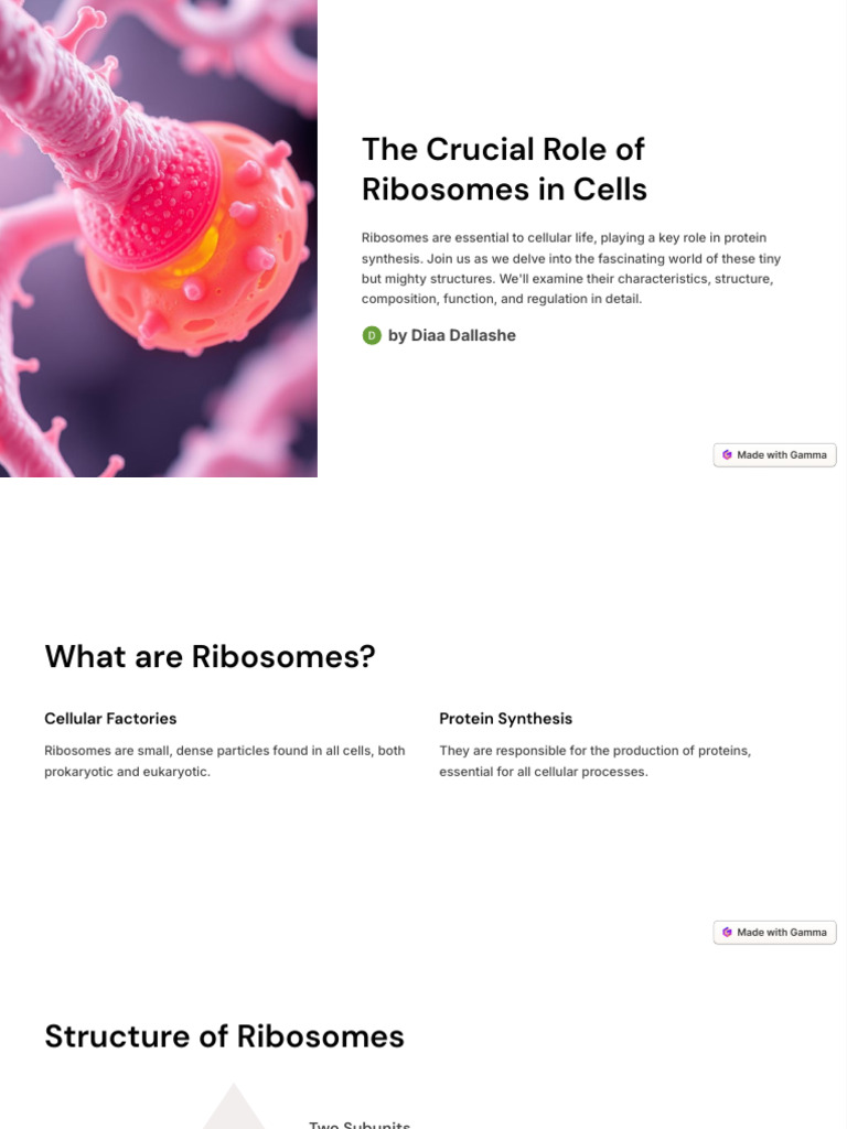 The-Crucial-Role-of-Ribosomes-in-Cells | PDF | Ribosome | Translation (Biology)