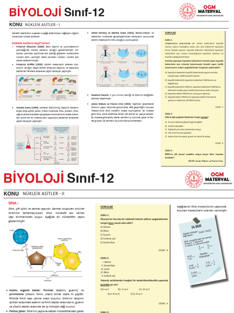 Biyo 12 Ogm Ozet | PDF