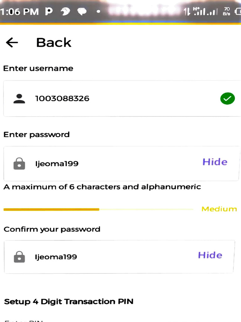 Secure Your Account Setup | PDF