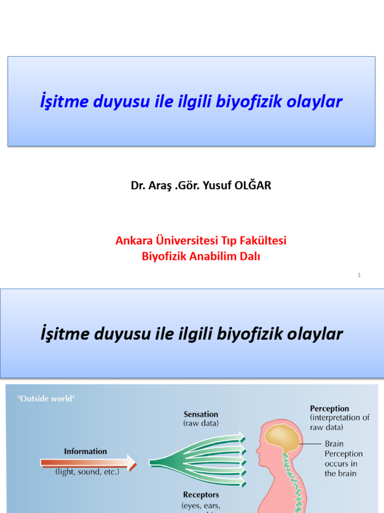 Işitme Duyusu Ile Ilgili Biyofizik Olaylar | PDF