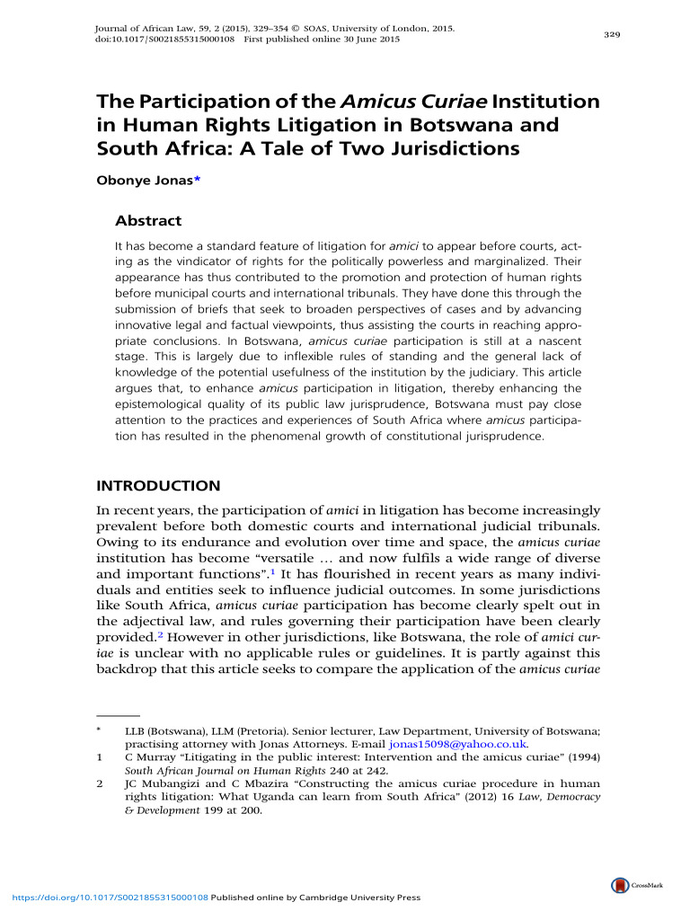 Participation of The Amicus Curiae Institution in Human Rights ...