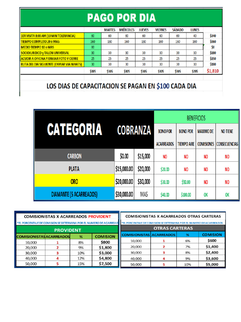 Pago Por Dia Moct | PDF