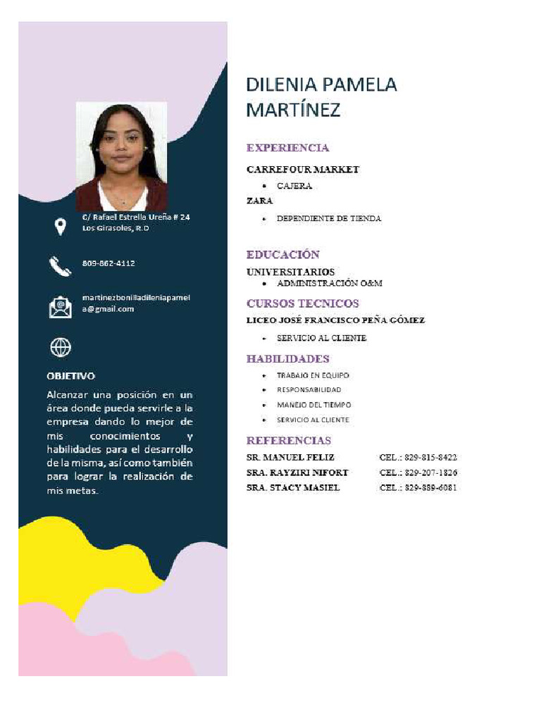 Currículum Actualizado | PDF