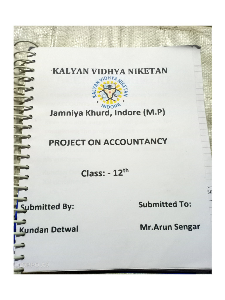 11 Accounts Project | PDF
