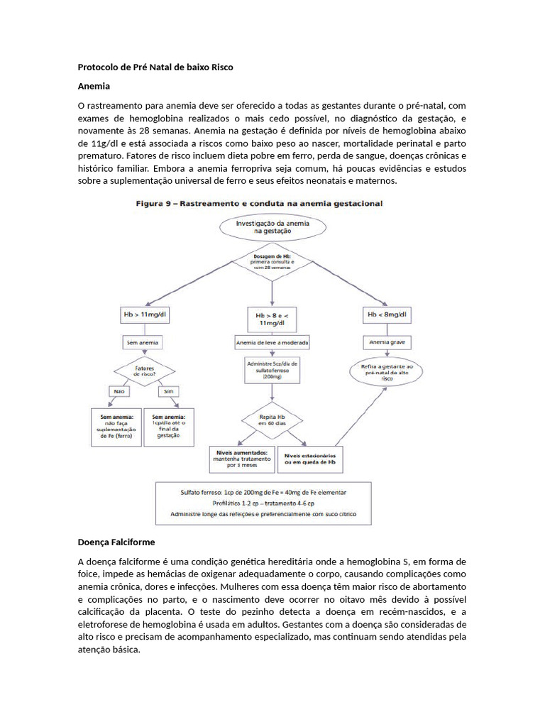 Protocolo de Pré Natal de baixo Risco | PDF | Gravidez | Diabetes