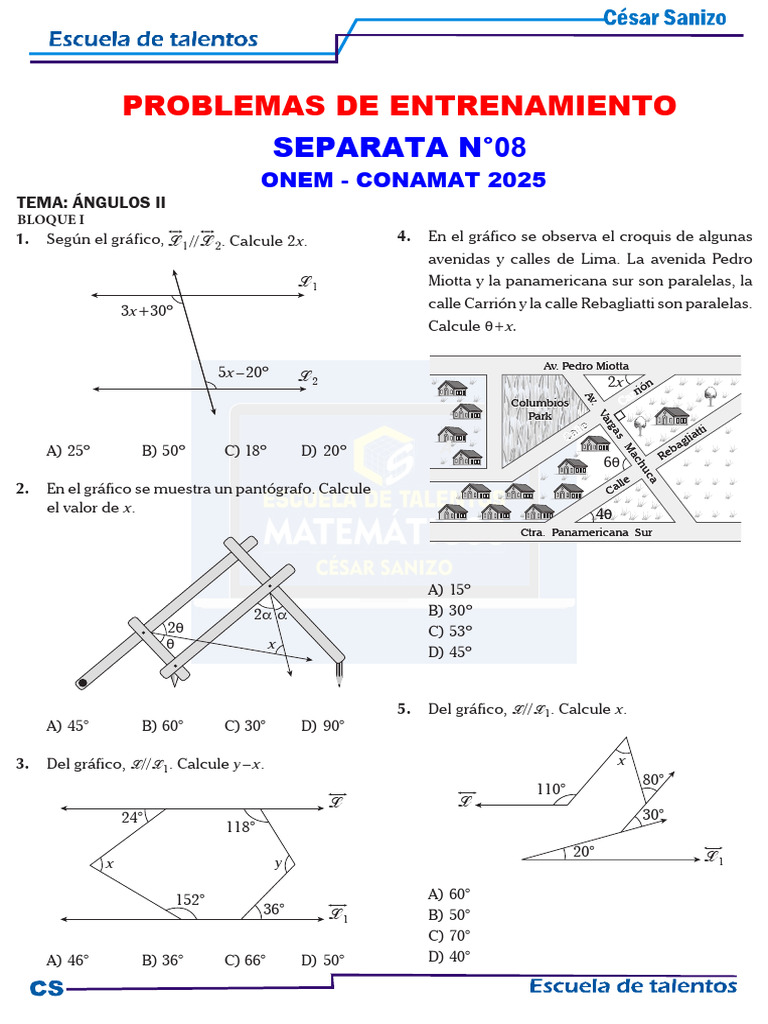 Separata N°08 | PDF