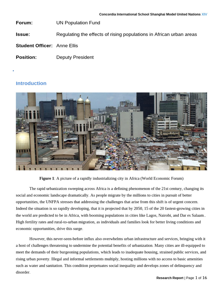 Urbanization Challenges in African Cities | PDF | Sustainability | Urban Planning