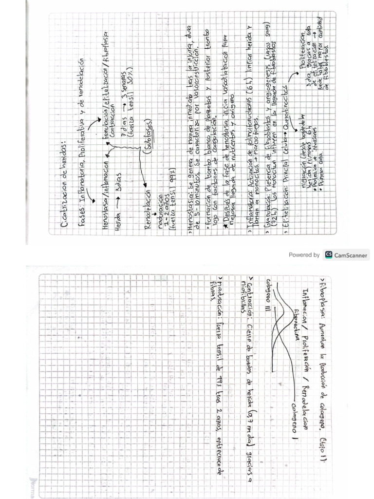 Tareas | PDF