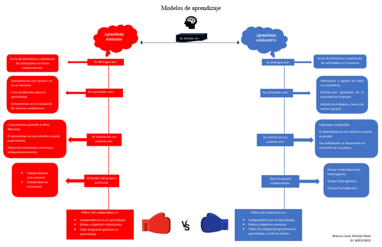 Montás-Marcos - Mapa Conceptual | PDF | Aprendizaje | Cognición