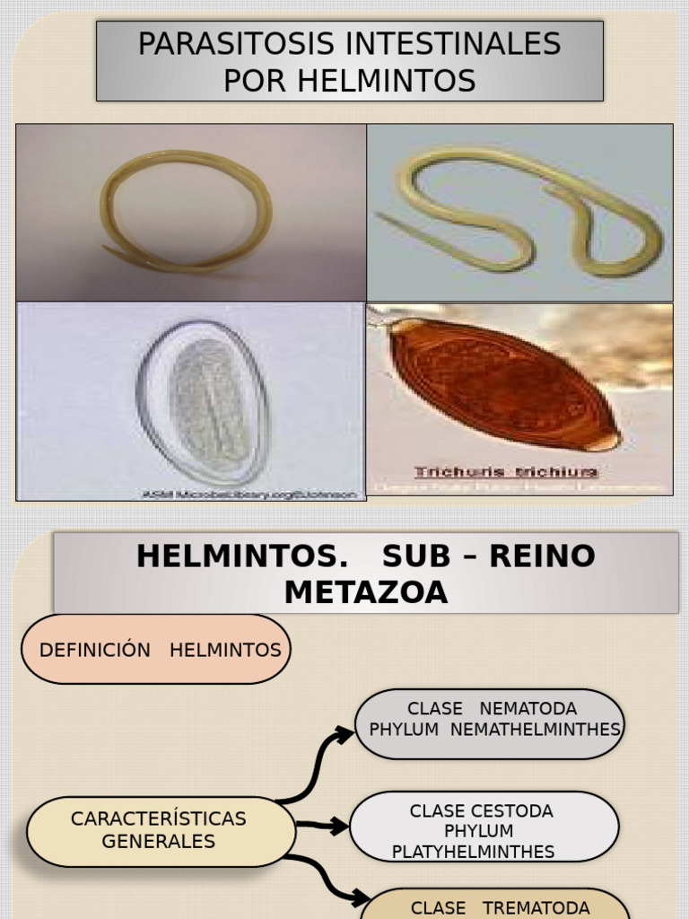 Helmintos: Parásitos Intestinales | PDF | Enfermedades y trastornos ...