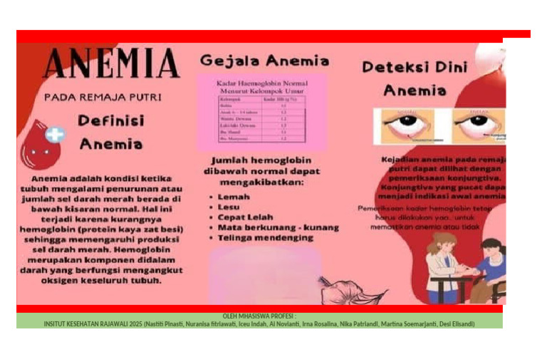 Leaflet Anemia | PDF