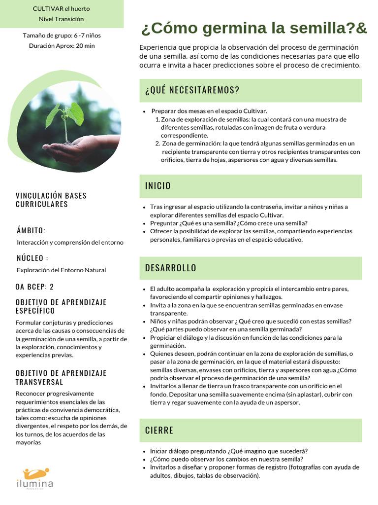 Germinación de Semillas para Niños | PDF | Semilla | Germinación