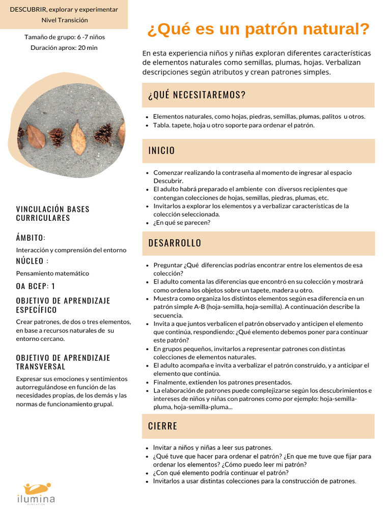 Que Es Un Patron Natural Transicion | PDF | Aprendizaje | Cognición