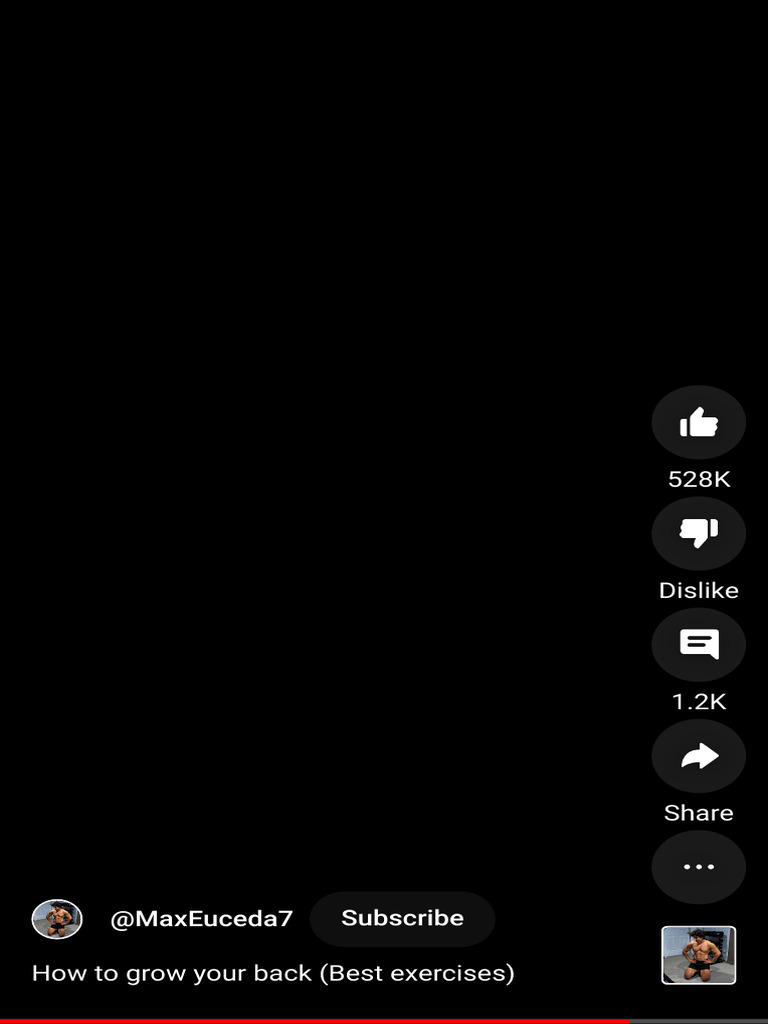 How To Grow Your Back (Best Exercises) - YouTube | PDF