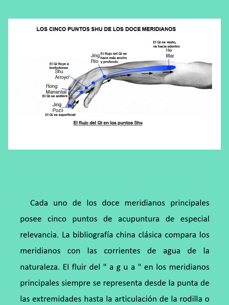 Puntos Clave en los Meridianos de Acupuntura | PDF