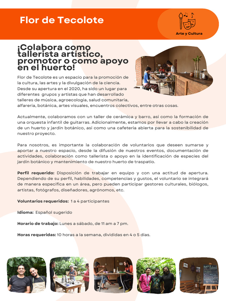 Catálogo de Voluntariado Por Proyecto | PDF