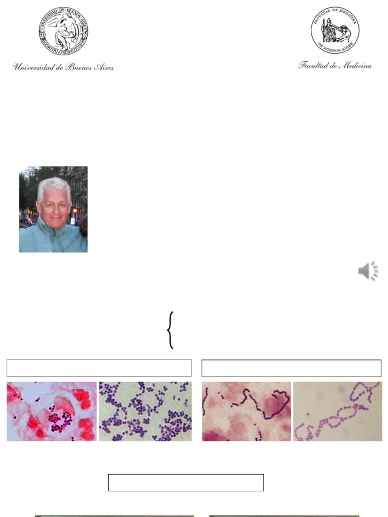3a Micro I Clase Staphylococcus-Strept PARTE 1 PDF | PDF ...