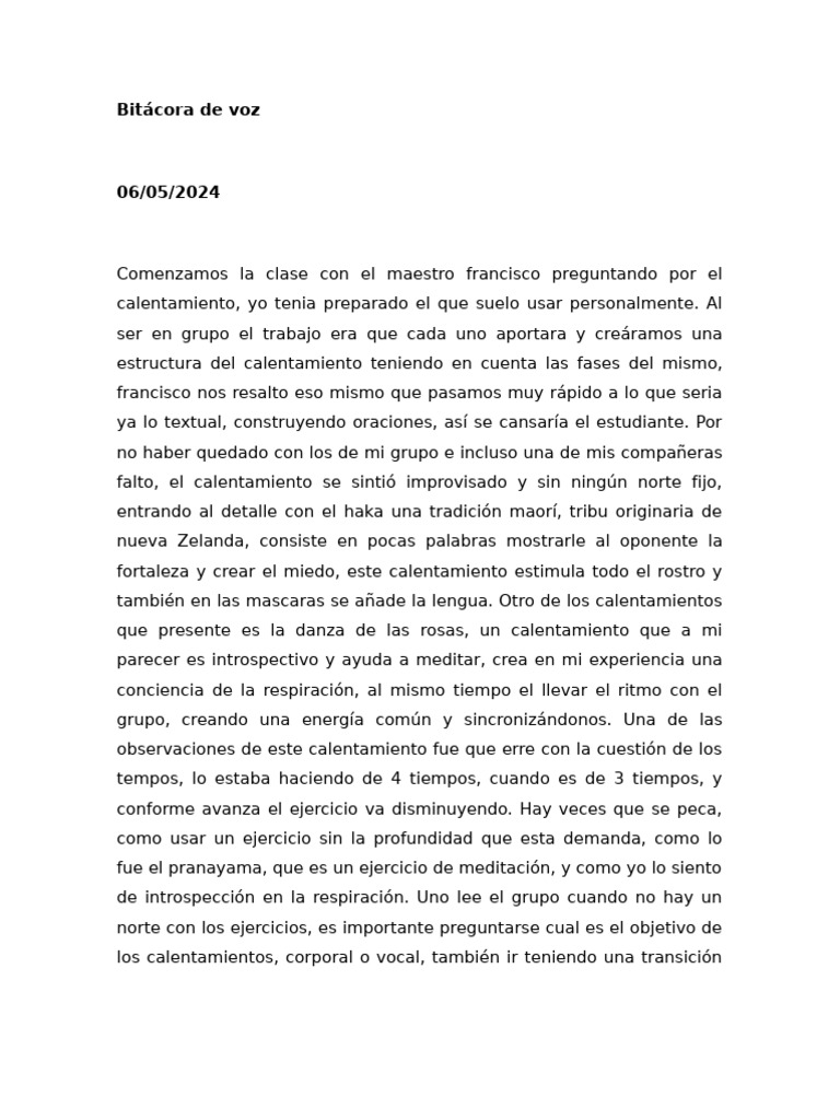 Bitácora de Voz | PDF