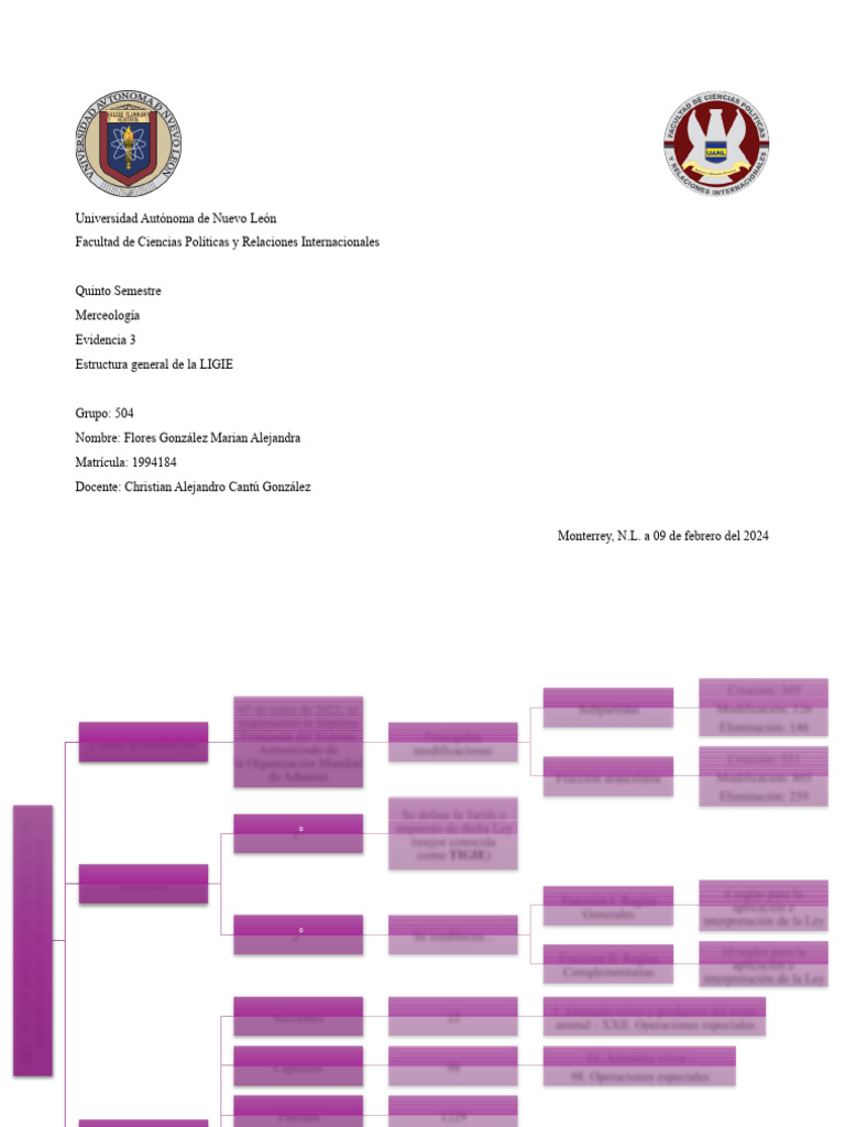 Mafg Ev3 M | PDF | Gobierno