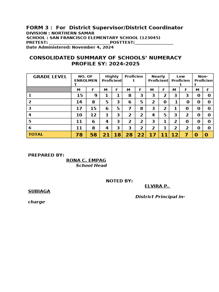 Numeracy Profile Summary 2024-2025 | PDF